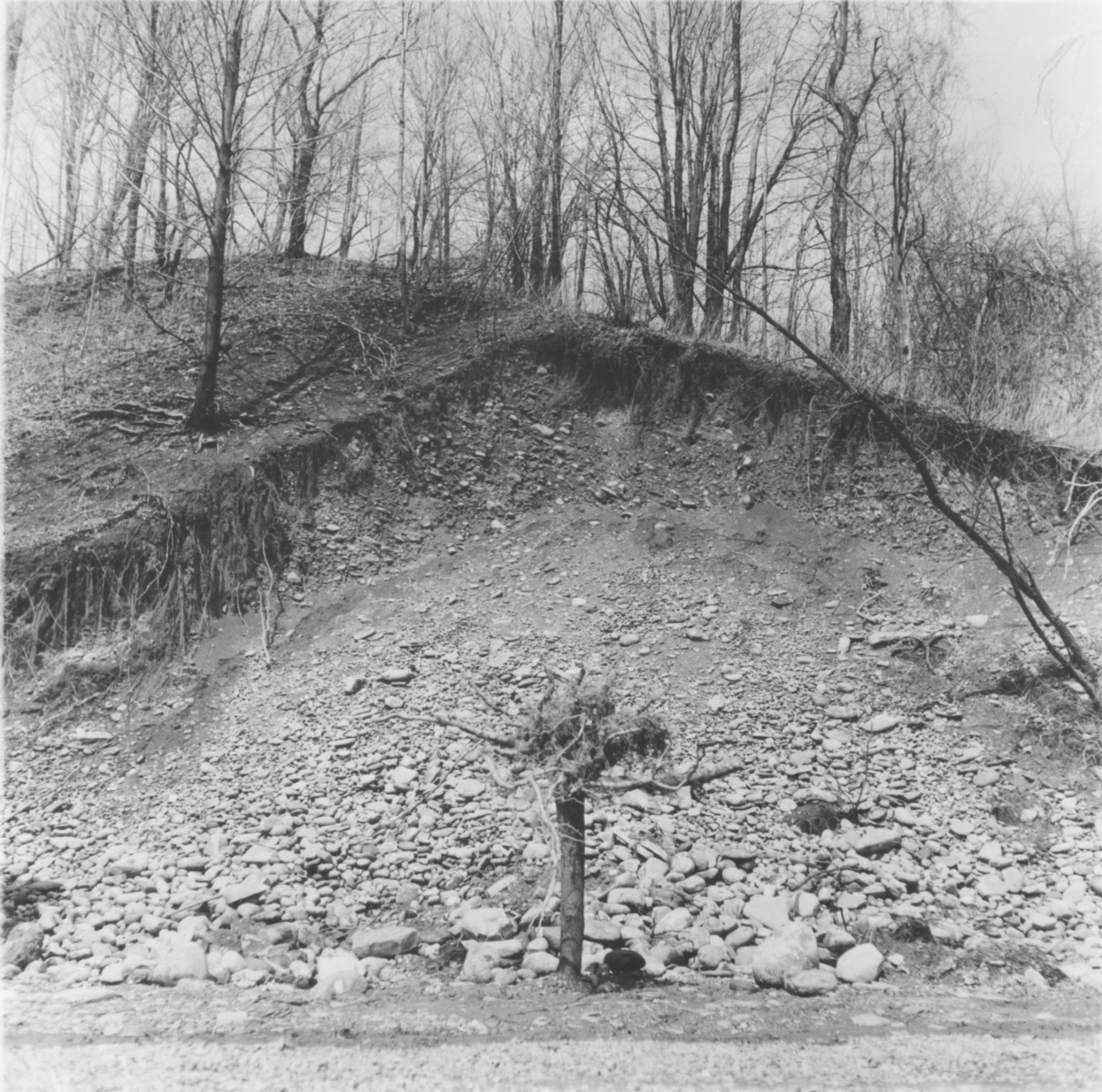 Upside Down Trees: Terminal Transmissions | Holt/Smithson Foundation